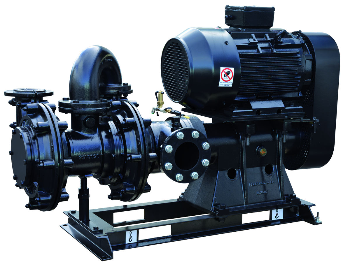 Double Case Sludge Pumps – Emerald Equipment Systems Inc